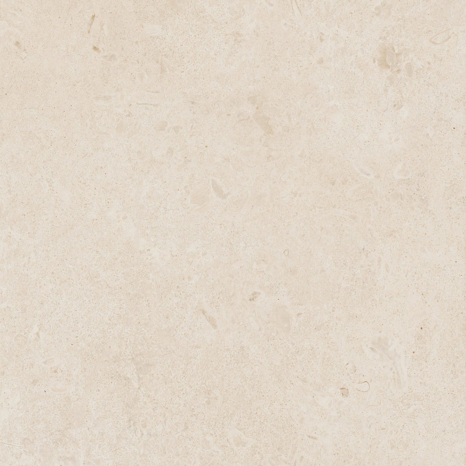 Carácter Bianco Porcelain Wall and Floor Tile